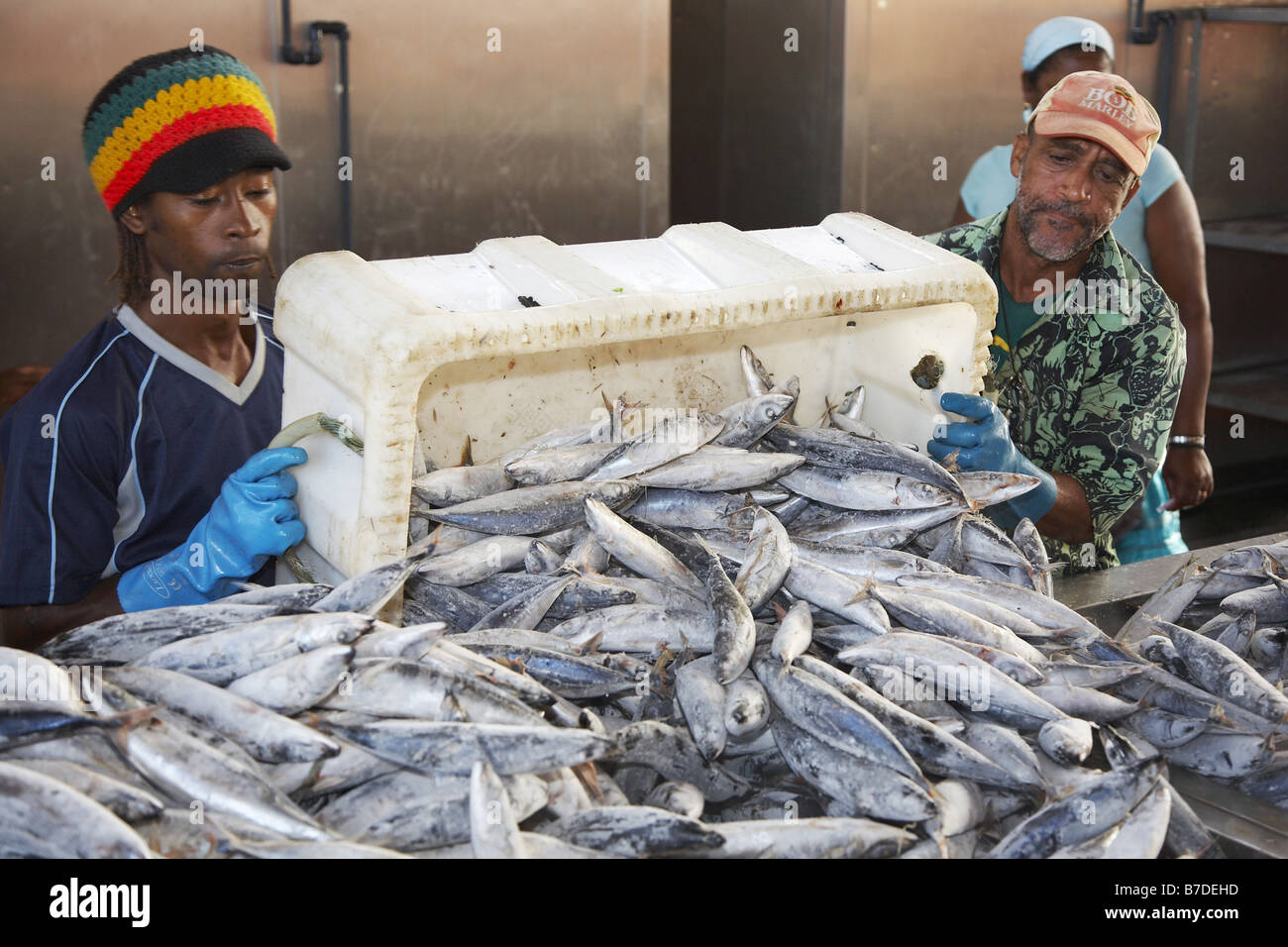 fish market, Cap Verde Islands, Cabo Verde, Sao Vicente, Mindelo Stock ...