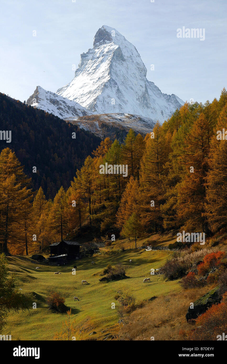 Typical swiss alpine landscape matterhorn hi-res stock photography and ...