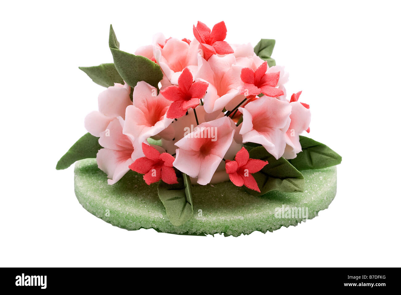 Different kinds flowers Cut Out Stock Images & Pictures - Alamy