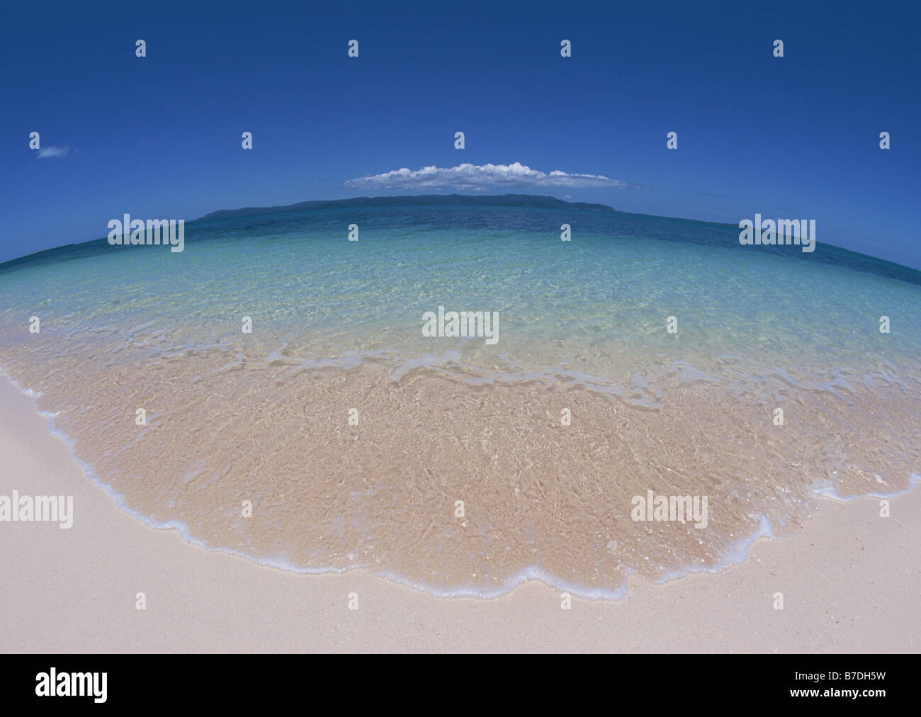 Sandy cho hi-res stock photography and images - Alamy