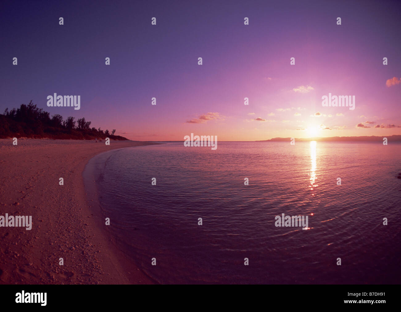 Sandy cho hi-res stock photography and images - Alamy