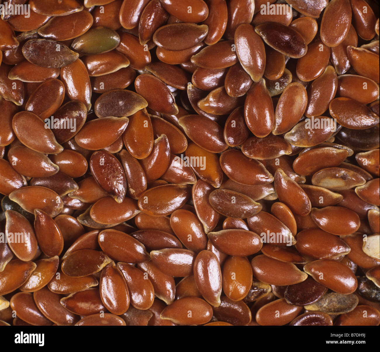 Linseed hi-res stock photography and images - Alamy