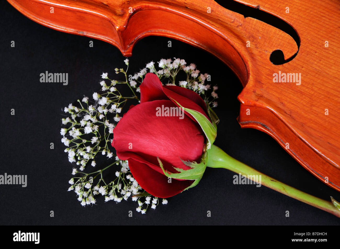 String and rose hi-res stock photography and images - Alamy
