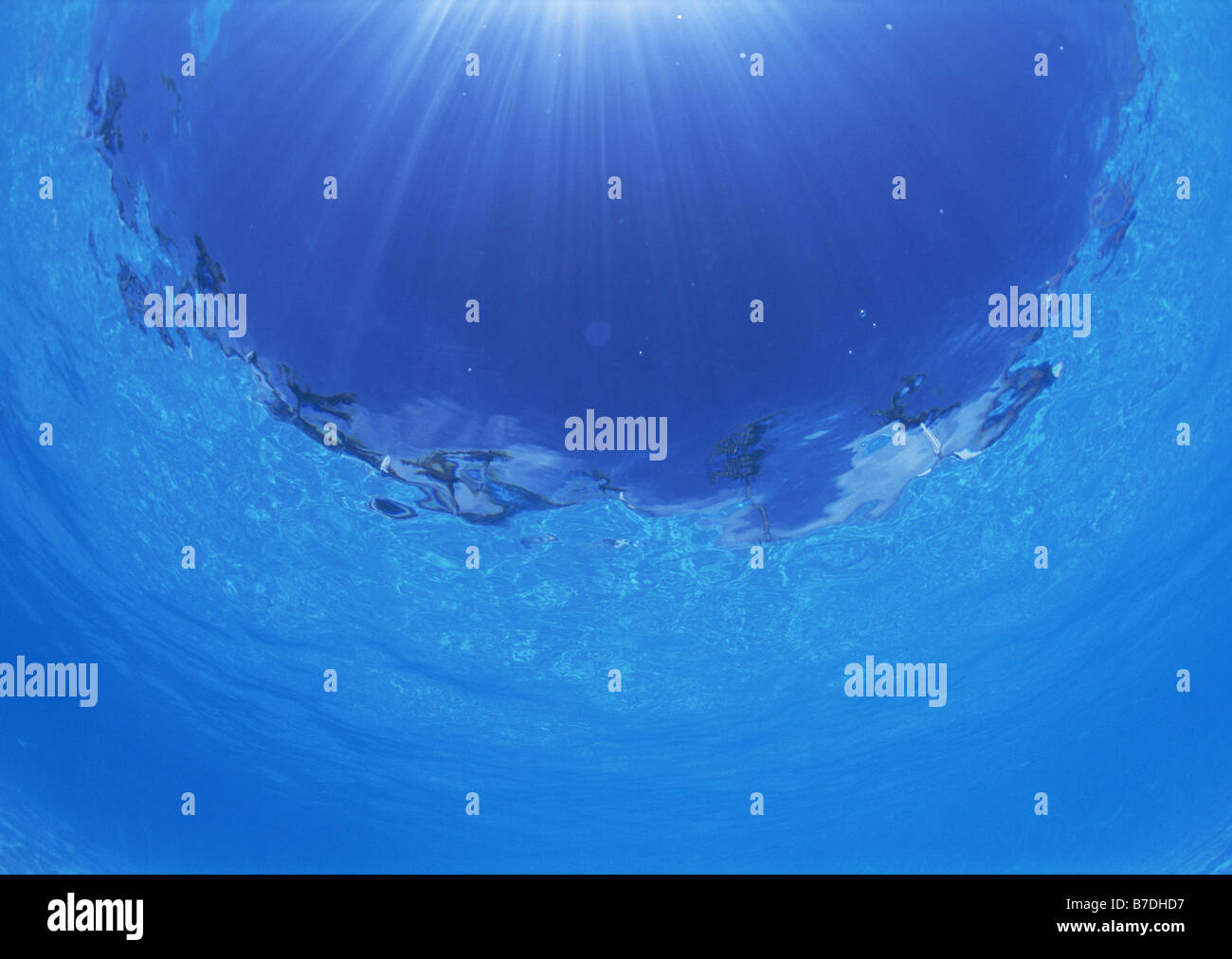 View from pool water Stock Photo - Alamy