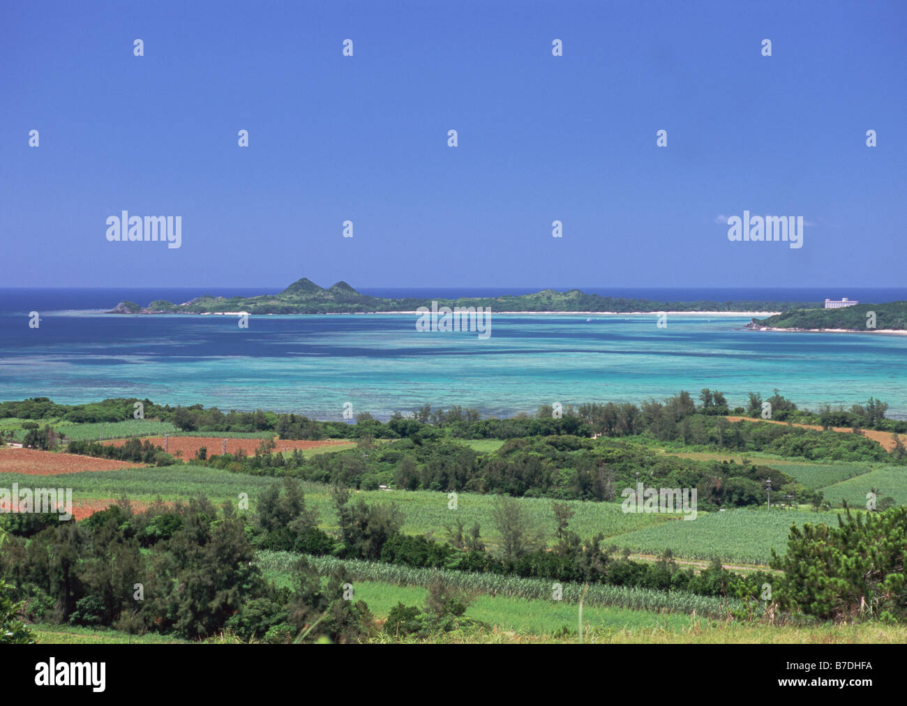 Ishigaki islands hi-res stock photography and images - Alamy