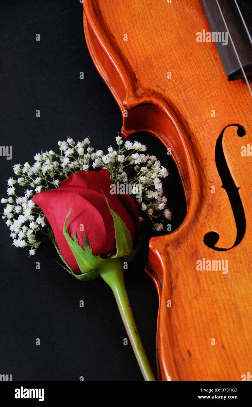 Violin with Rose Stock Photo - Alamy