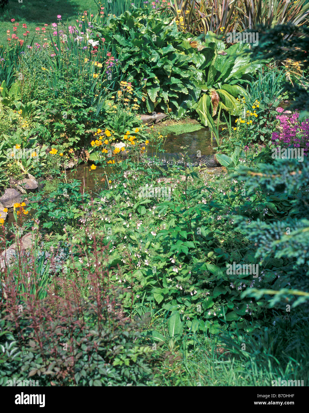 Stream waters edge hi-res stock photography and images - Alamy