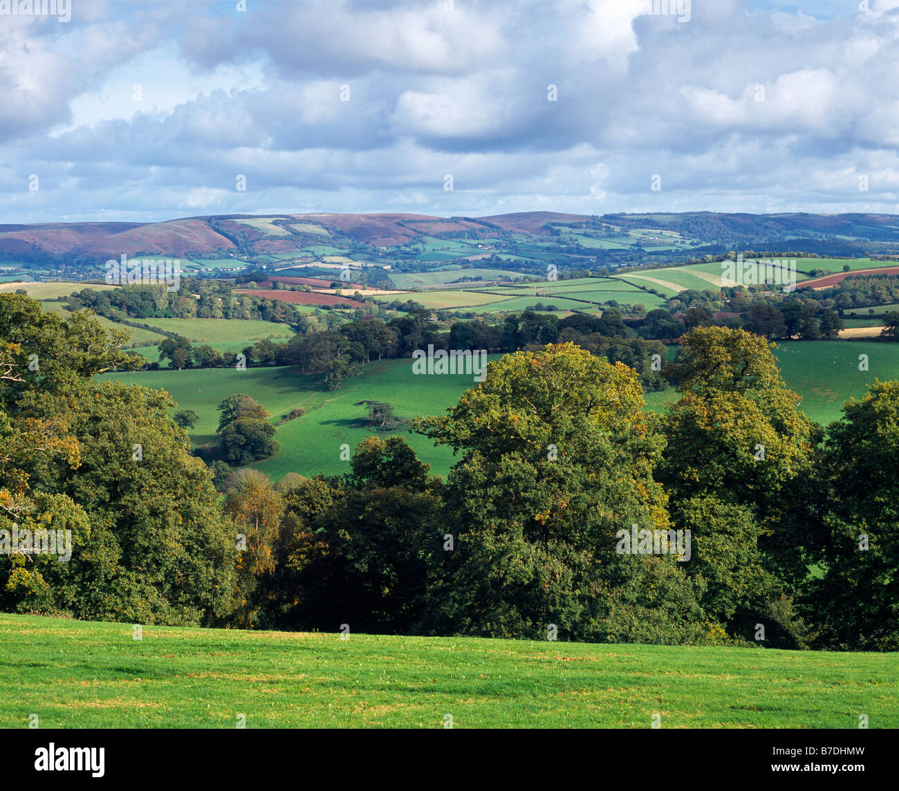 The Quantock Hills viewed from the Brendon Hills at Chidgley on the ...