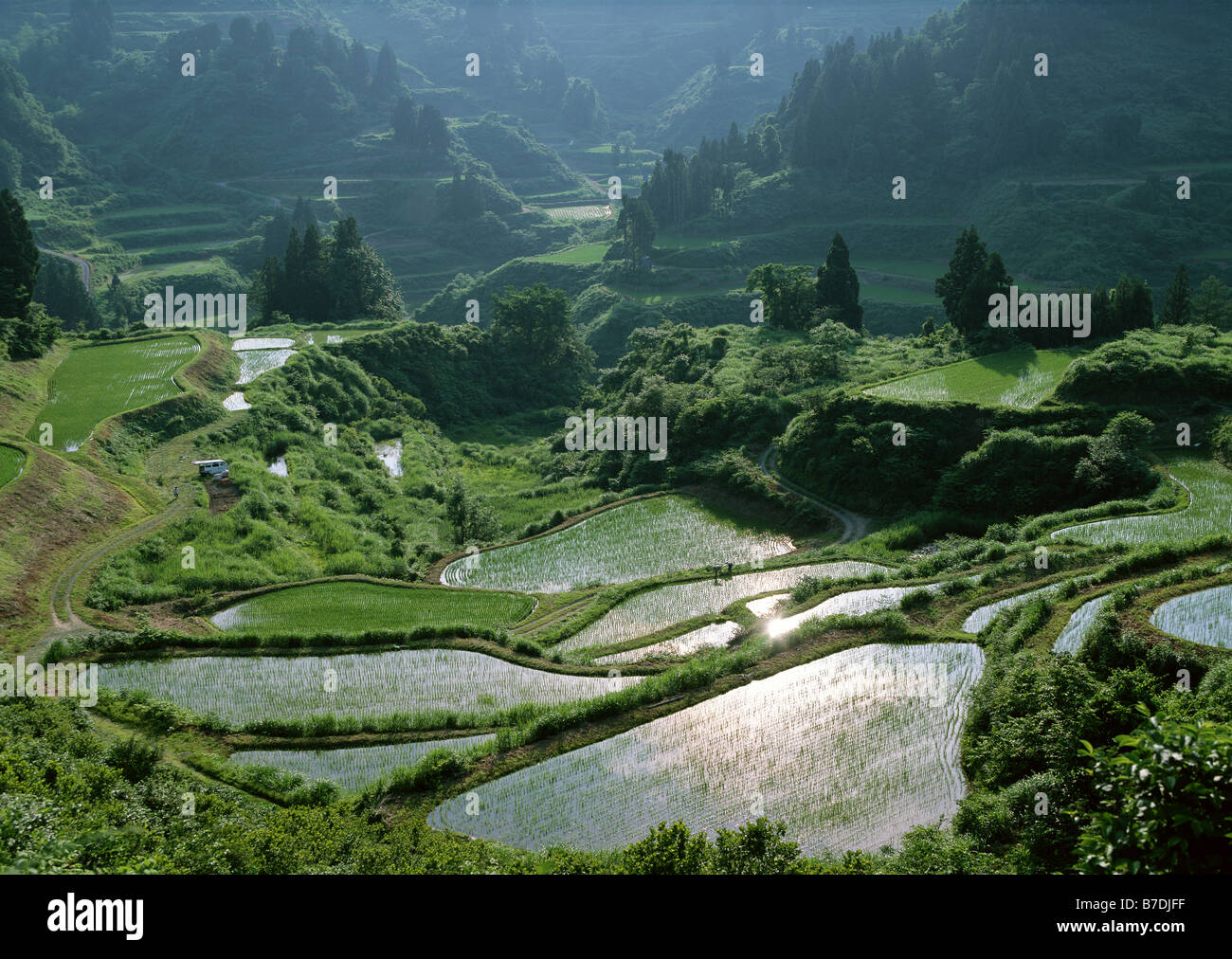 Stepped rice paddy field hi-res stock photography and images - Alamy