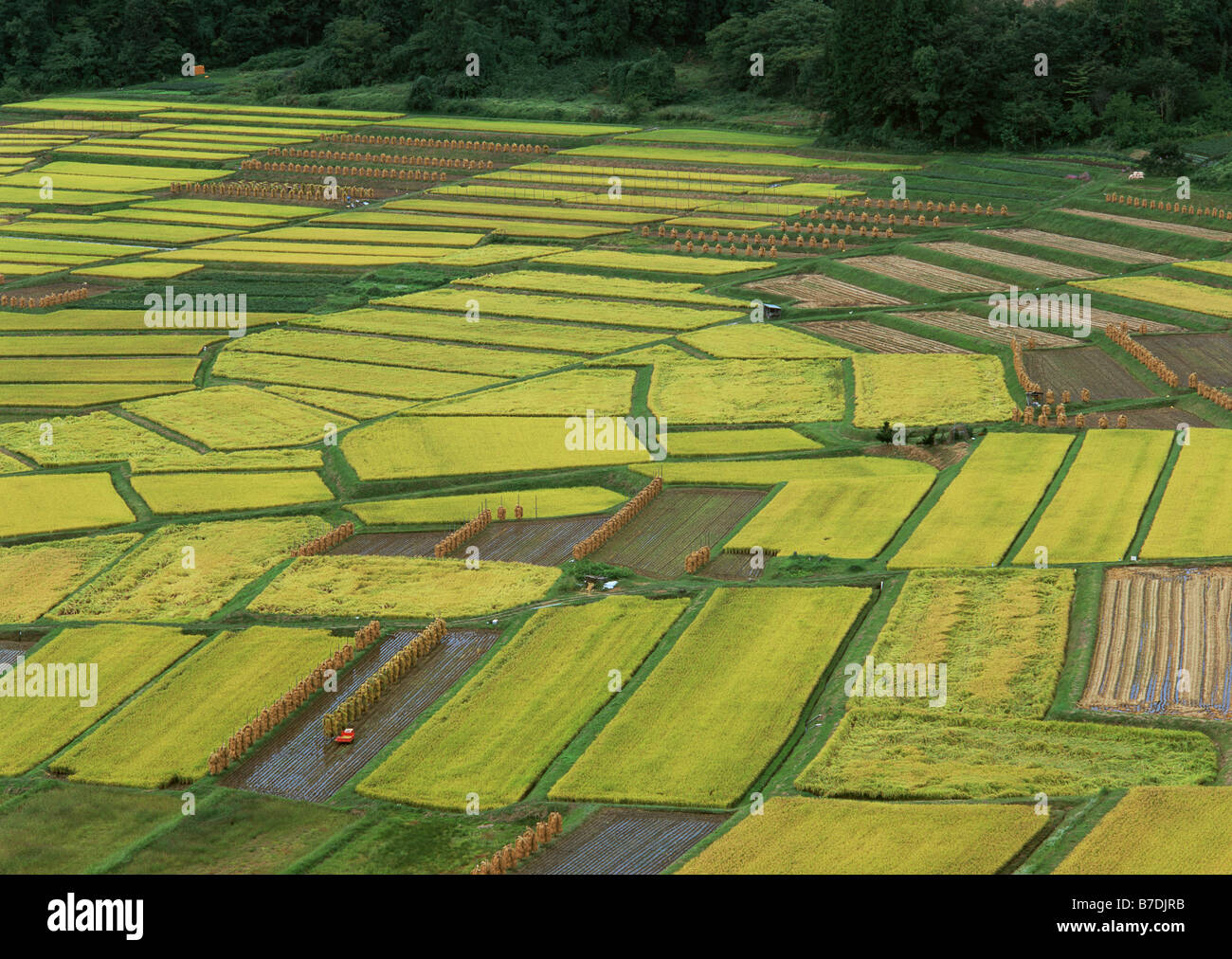 Tohoku region fields hi-res stock photography and images - Alamy