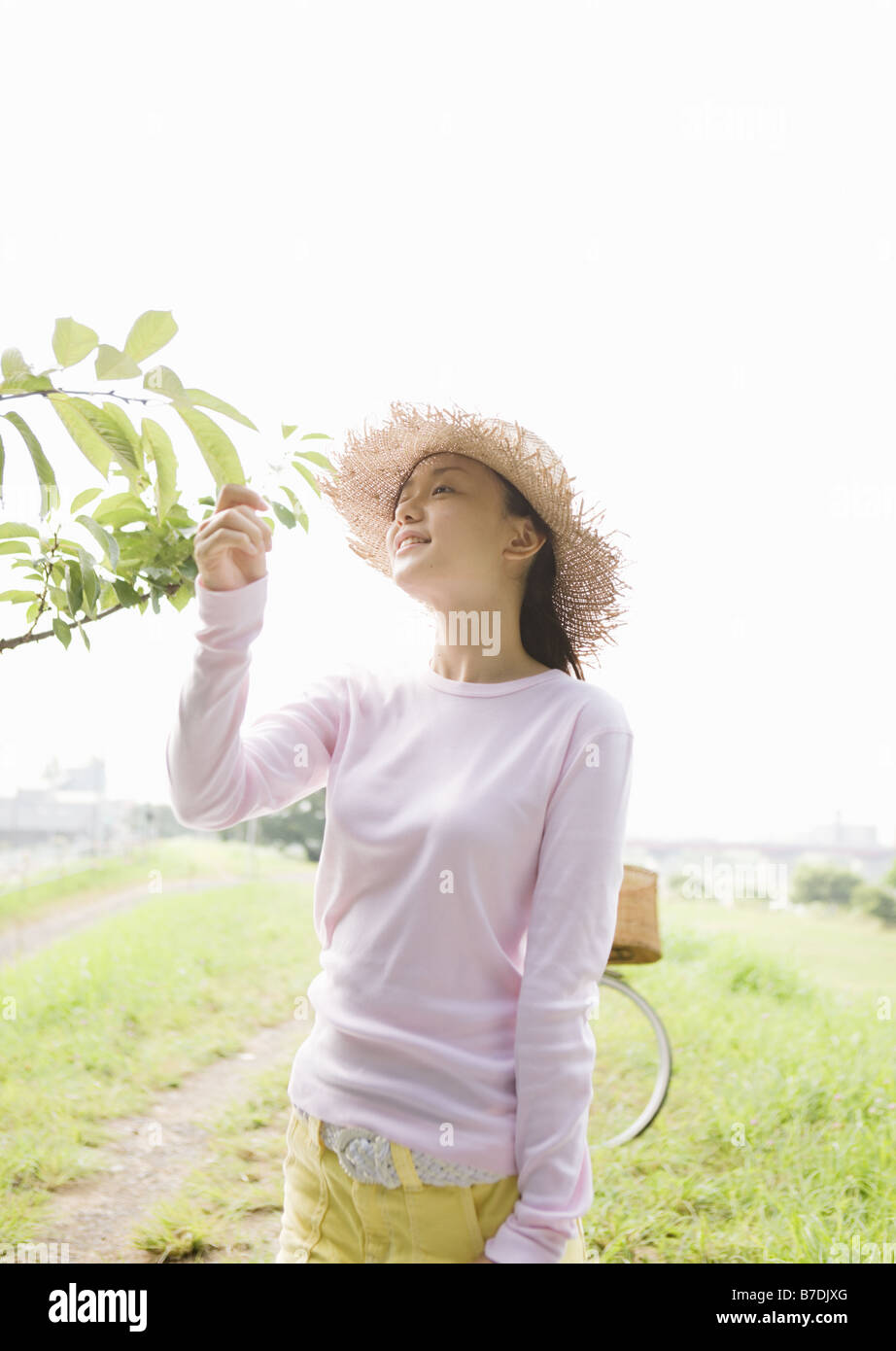 A woman looking at leaves Stock Photo - Alamy