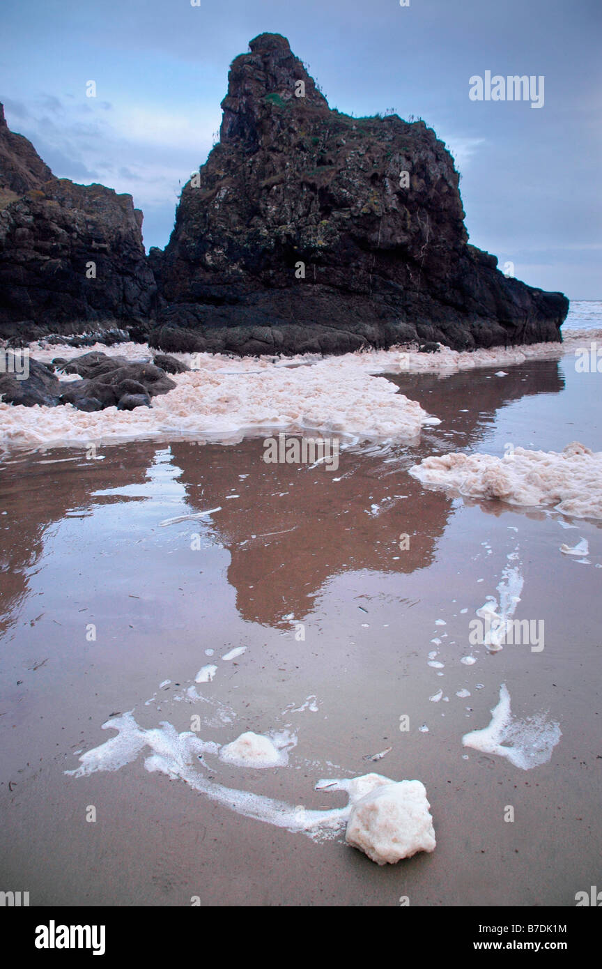 Frothy sea trails on the beach at St Cyrus in Angus, Scotland Stock ...