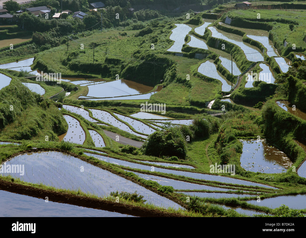 Terraced paddy fields Stock Photo - Alamy