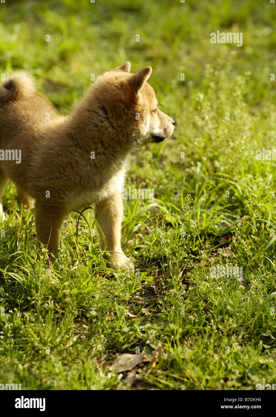 Expression ken hi-res stock photography and images - Alamy