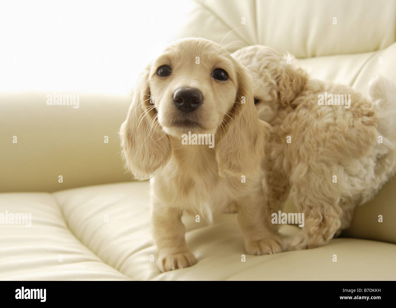 Child depressed building hi-res stock photography and images - Alamy