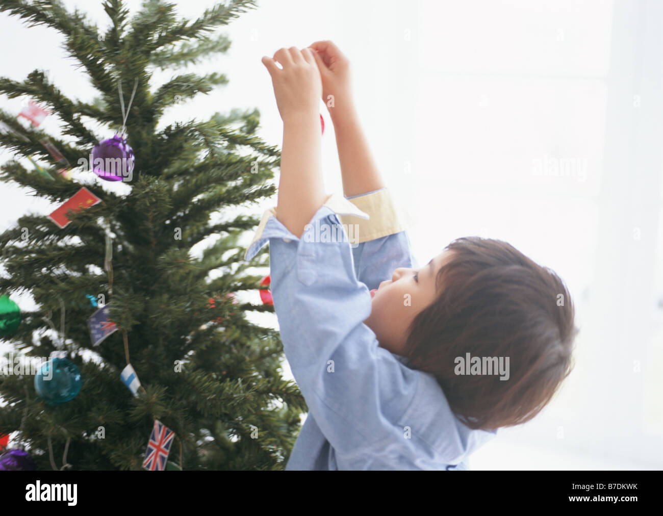 Boy decorating a Christmas tree Stock Photo - Alamy