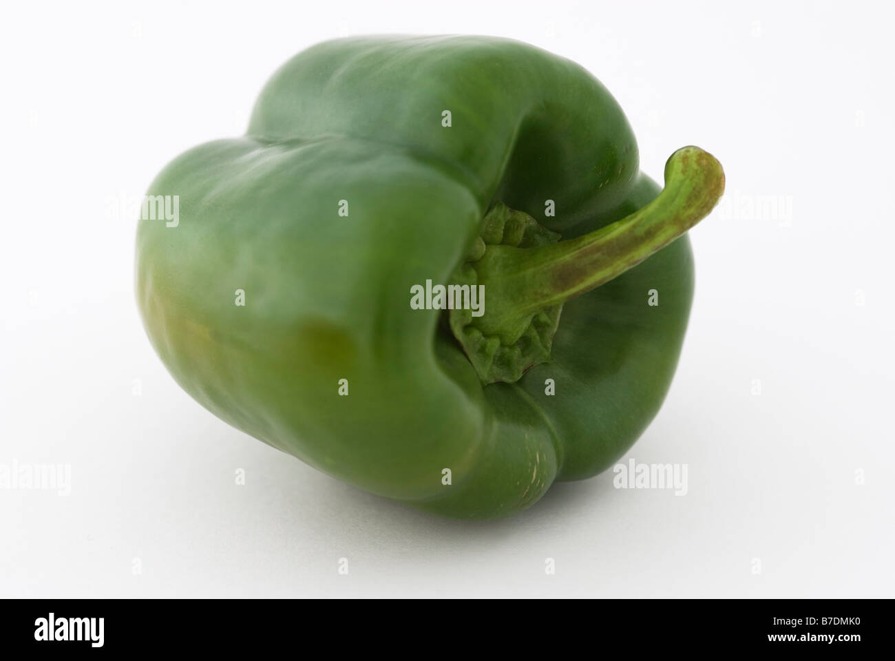 Annuum hi-res stock photography and images - Alamy