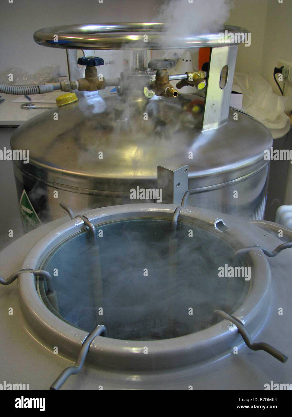 Liquid nitrogen is being filled into container in a genetic ...