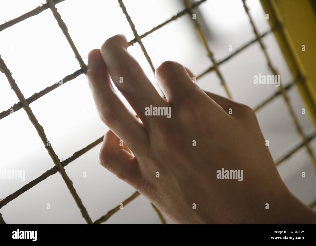 Dorsum of the hand hi-res stock photography and images - Alamy
