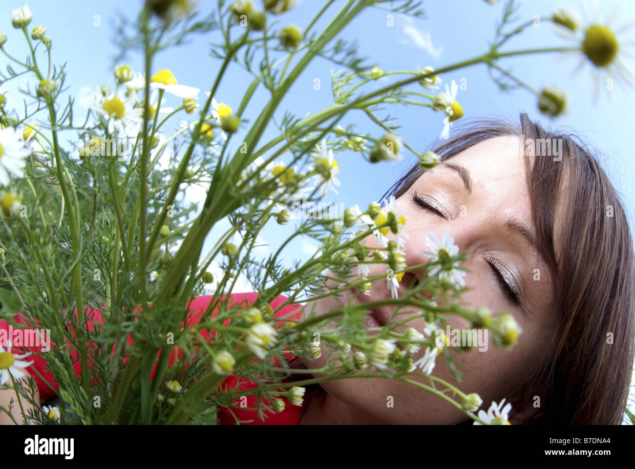 Close up human nose smelling hi-res stock photography and images - Alamy