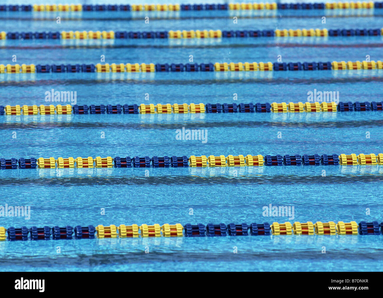 Swimming pool lanes Stock Photo - Alamy