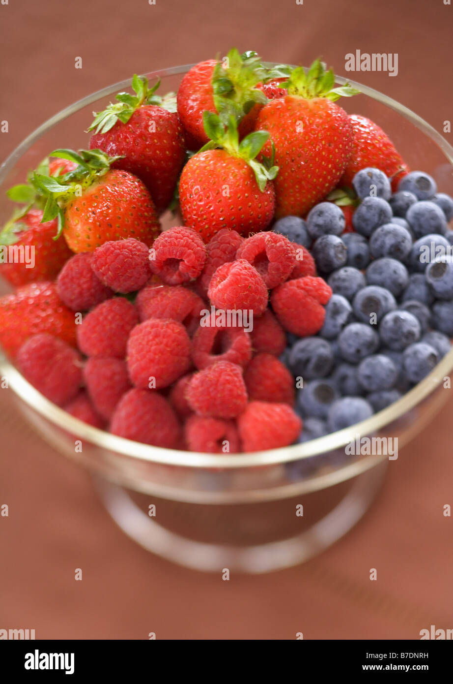 Crane berries hi-res stock photography and images - Alamy