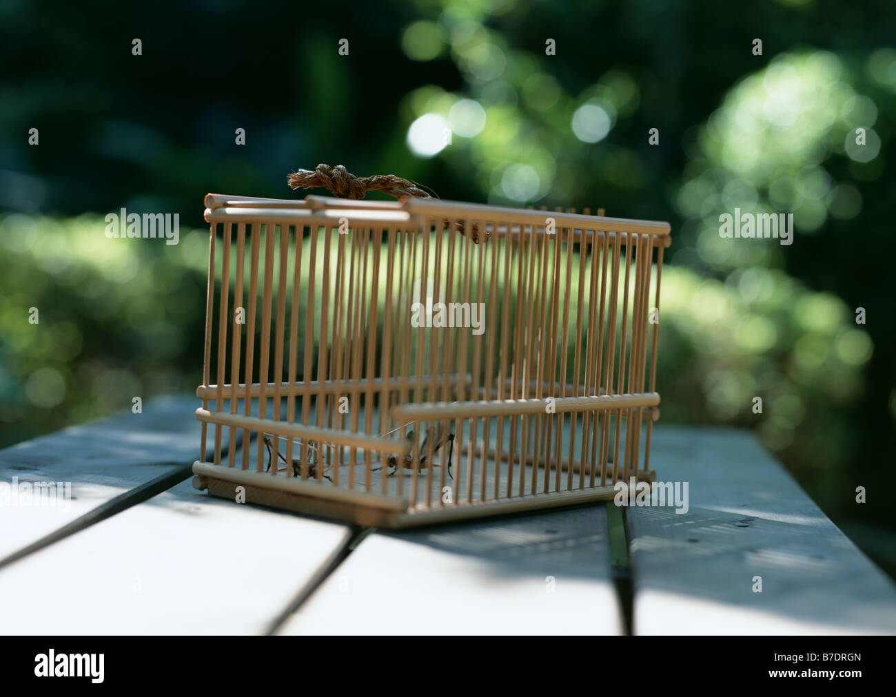 Bug jar hi-res stock photography and images - Alamy