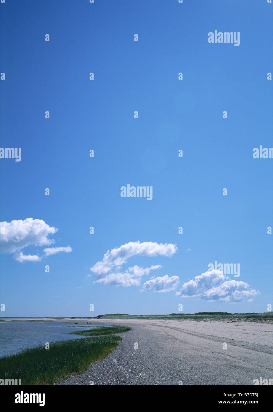 Cape cod beach spring hi-res stock photography and images - Alamy