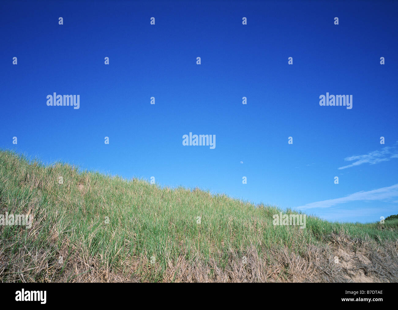 Grassy taste hi-res stock photography and images - Alamy