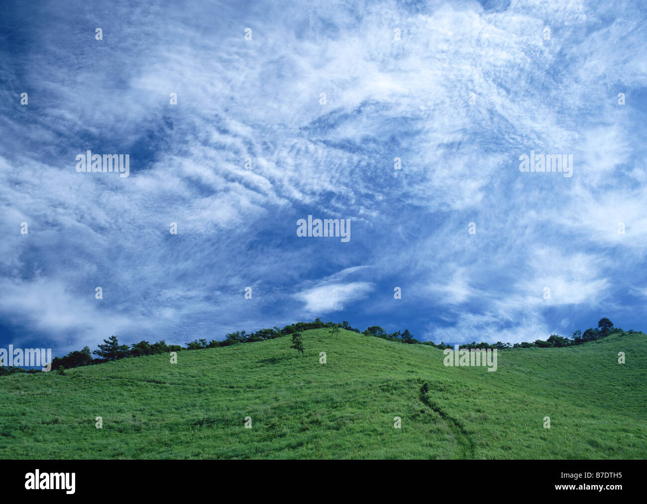 Grassy plain hi-res stock photography and images - Alamy