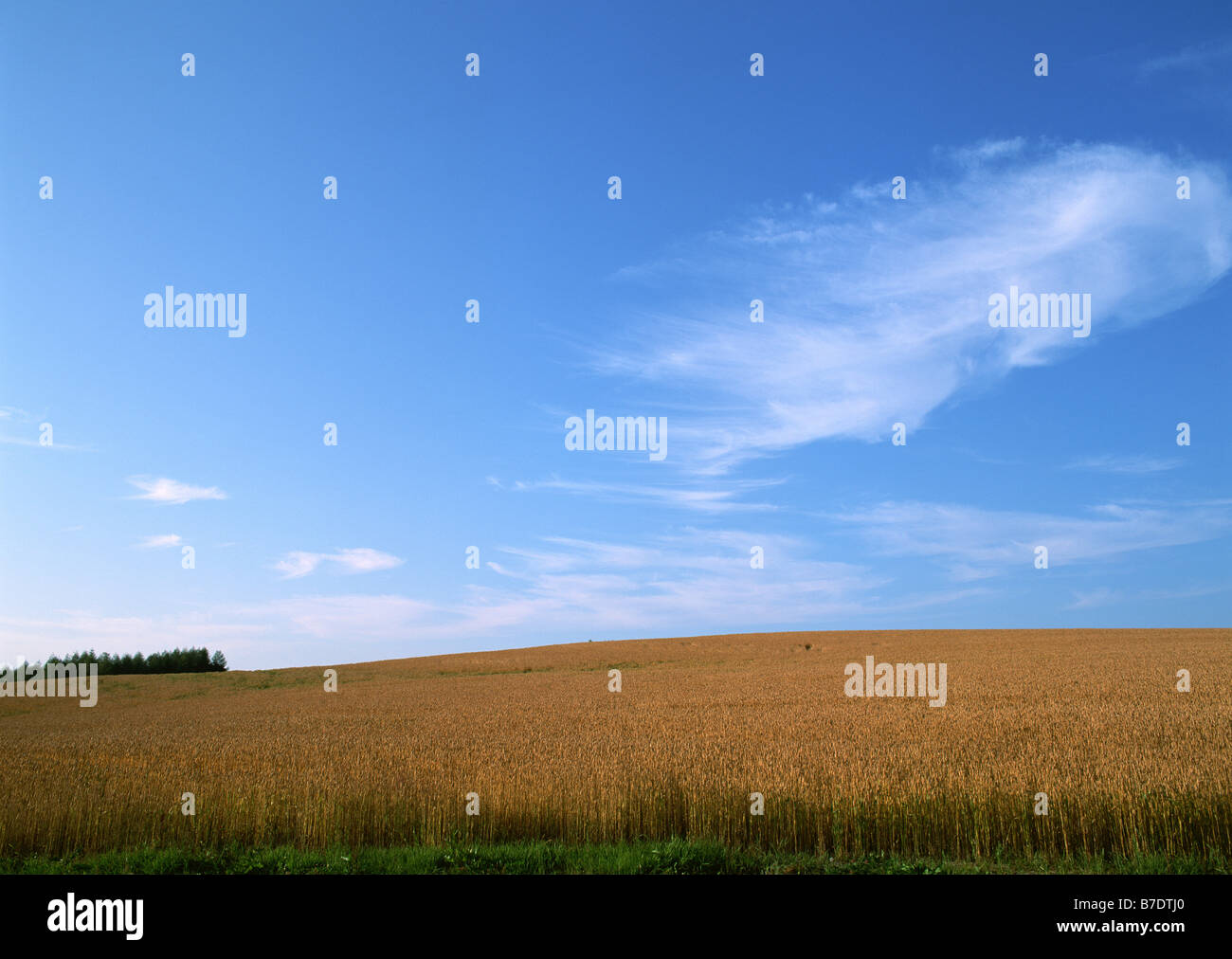 Kamikawa subprefecture hi-res stock photography and images - Alamy