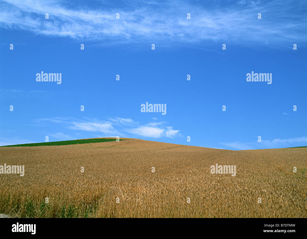 Wheat field clouds hokkaido hi-res stock photography and images - Alamy