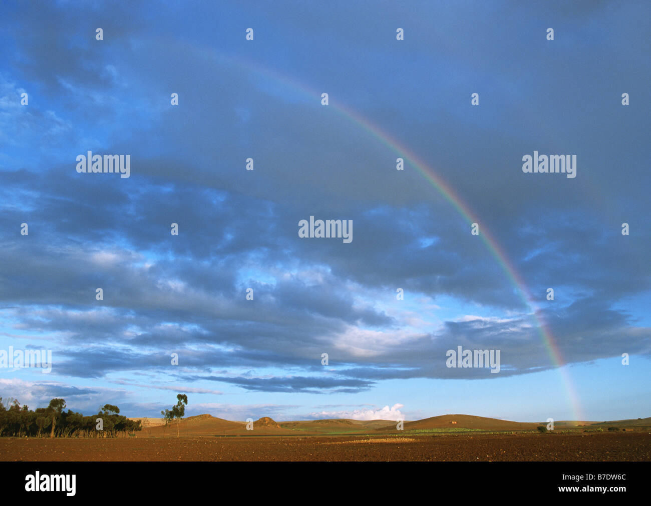 Grassy Plain and Rainbow Stock Photo - Alamy