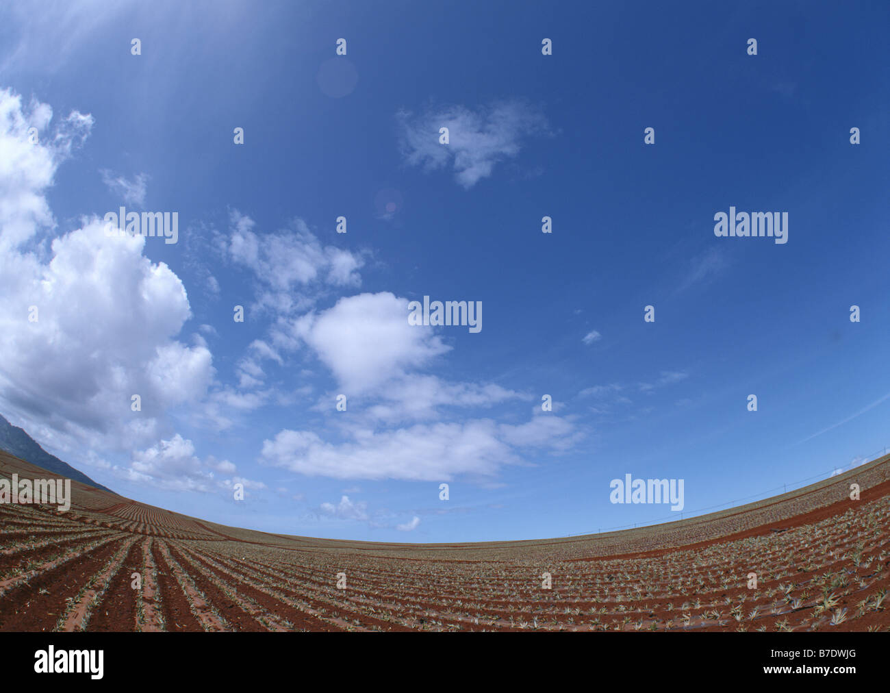 Land fish farm japan hi-res stock photography and images - Alamy