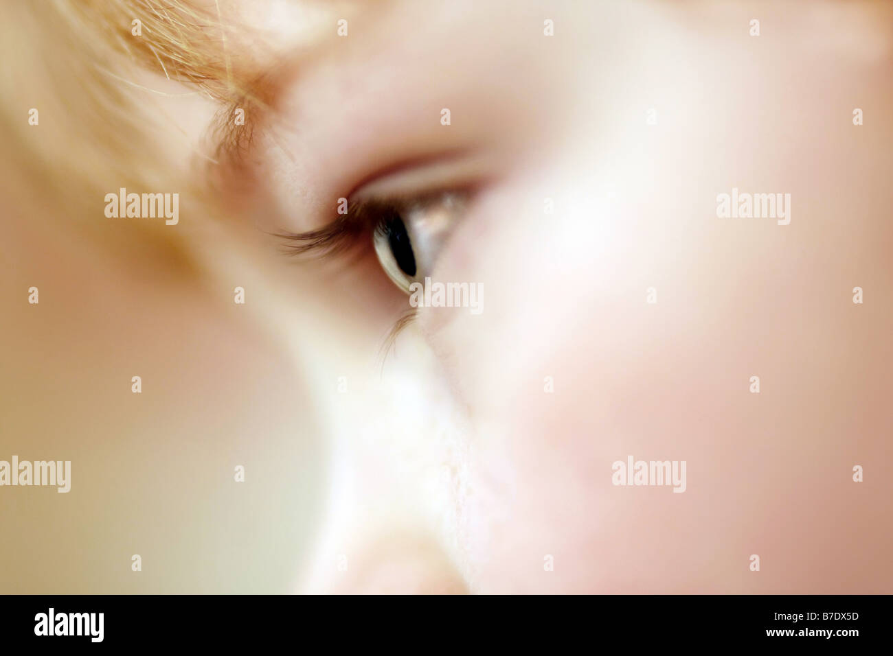 close up of young boys eye Stock Photo - Alamy