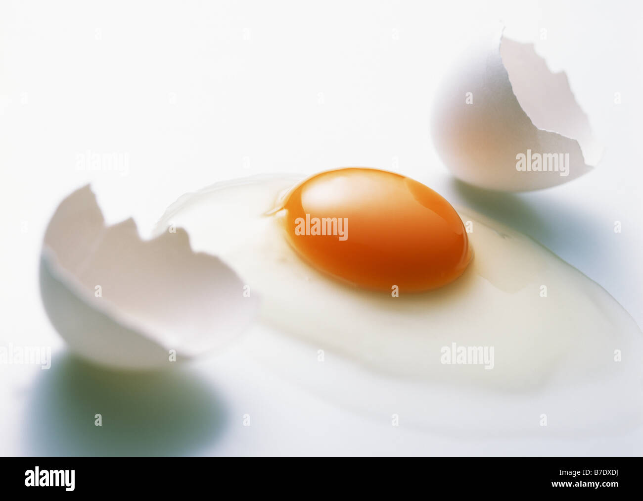 Singular egg hi-res stock photography and images - Alamy