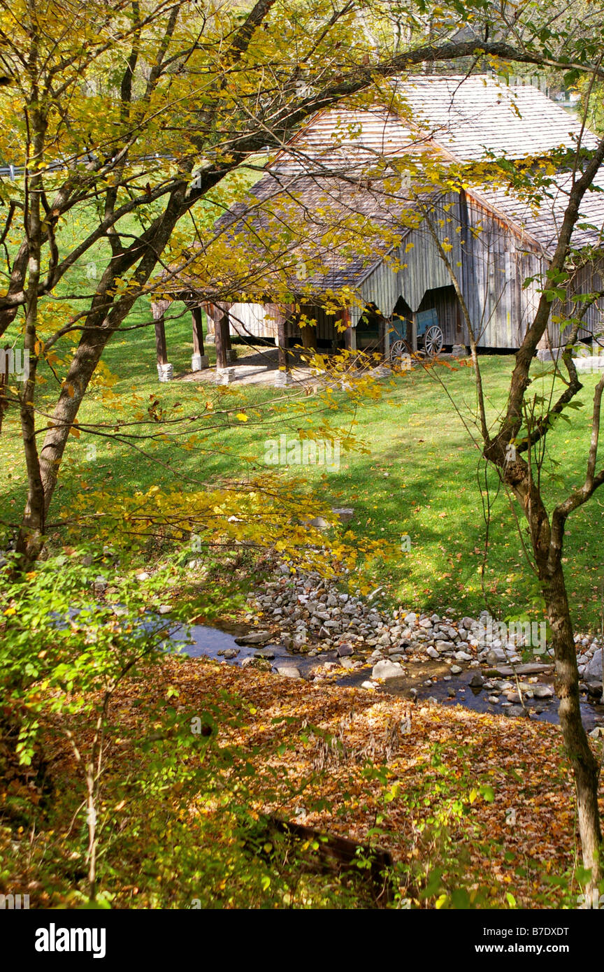Old decrepit tree branch hi-res stock photography and images - Alamy