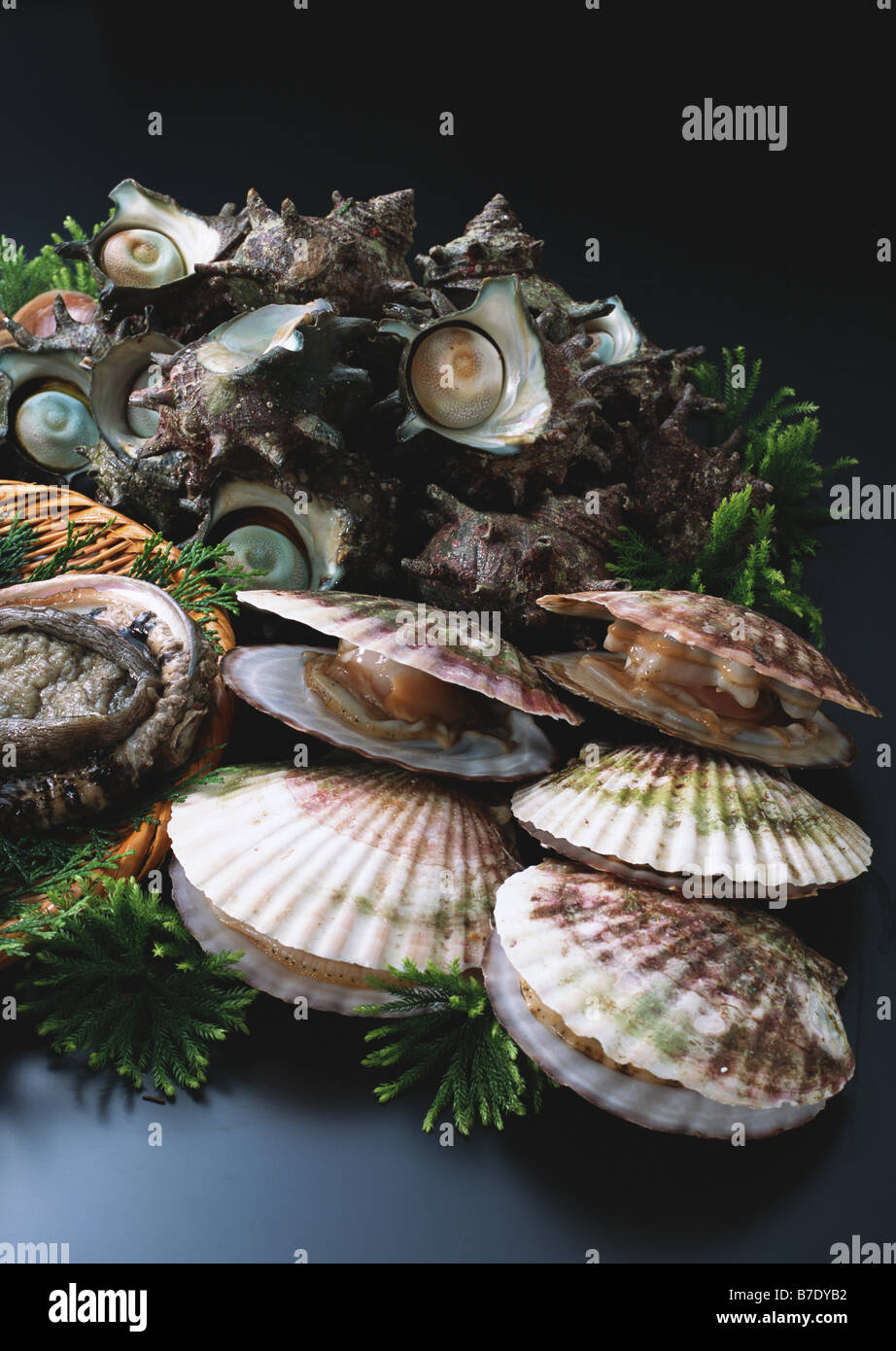 Scallop fishery hi-res stock photography and images - Alamy