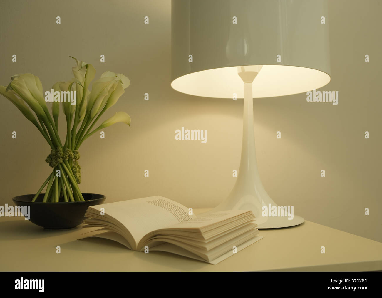 Desk lamp and book Stock Photo - Alamy