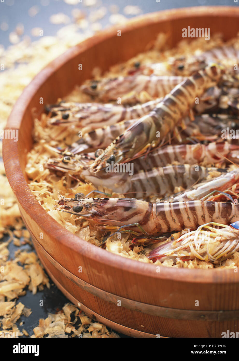 Striped pail hi-res stock photography and images - Alamy