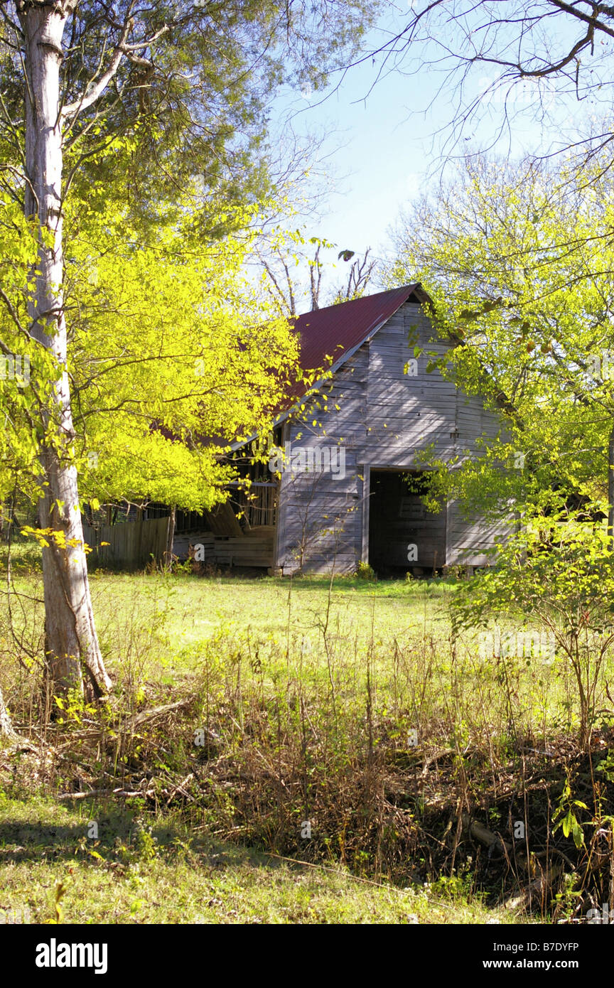 Old Barn with autumn colors Stock Photo - Alamy