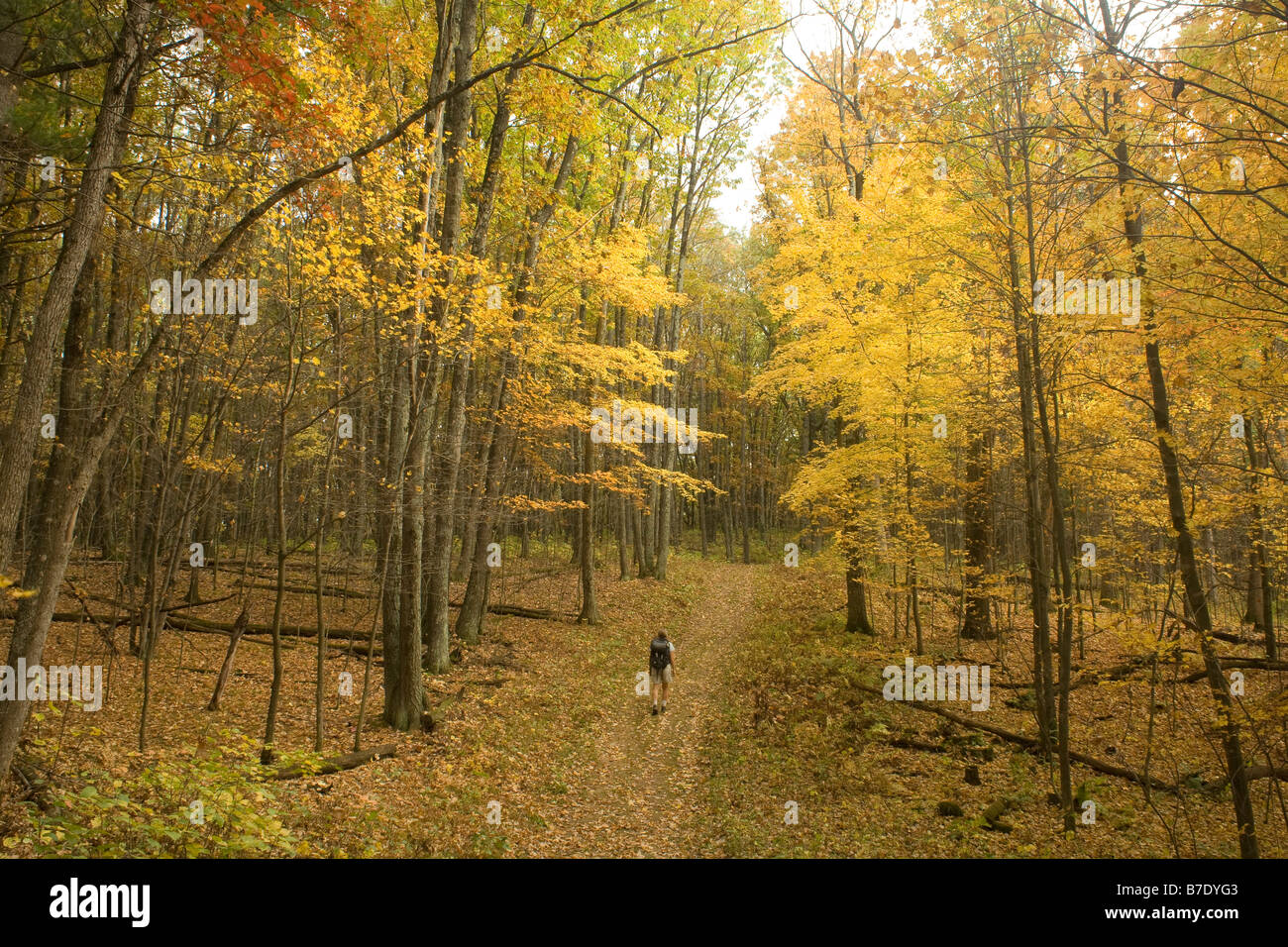 WISCONSIN - Hiker on the Ice Age National Scenic Trail in Hartman Creek ...