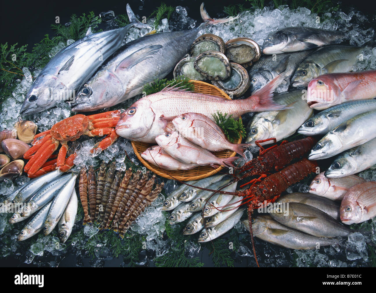 Fishery products hi-res stock photography and images - Alamy