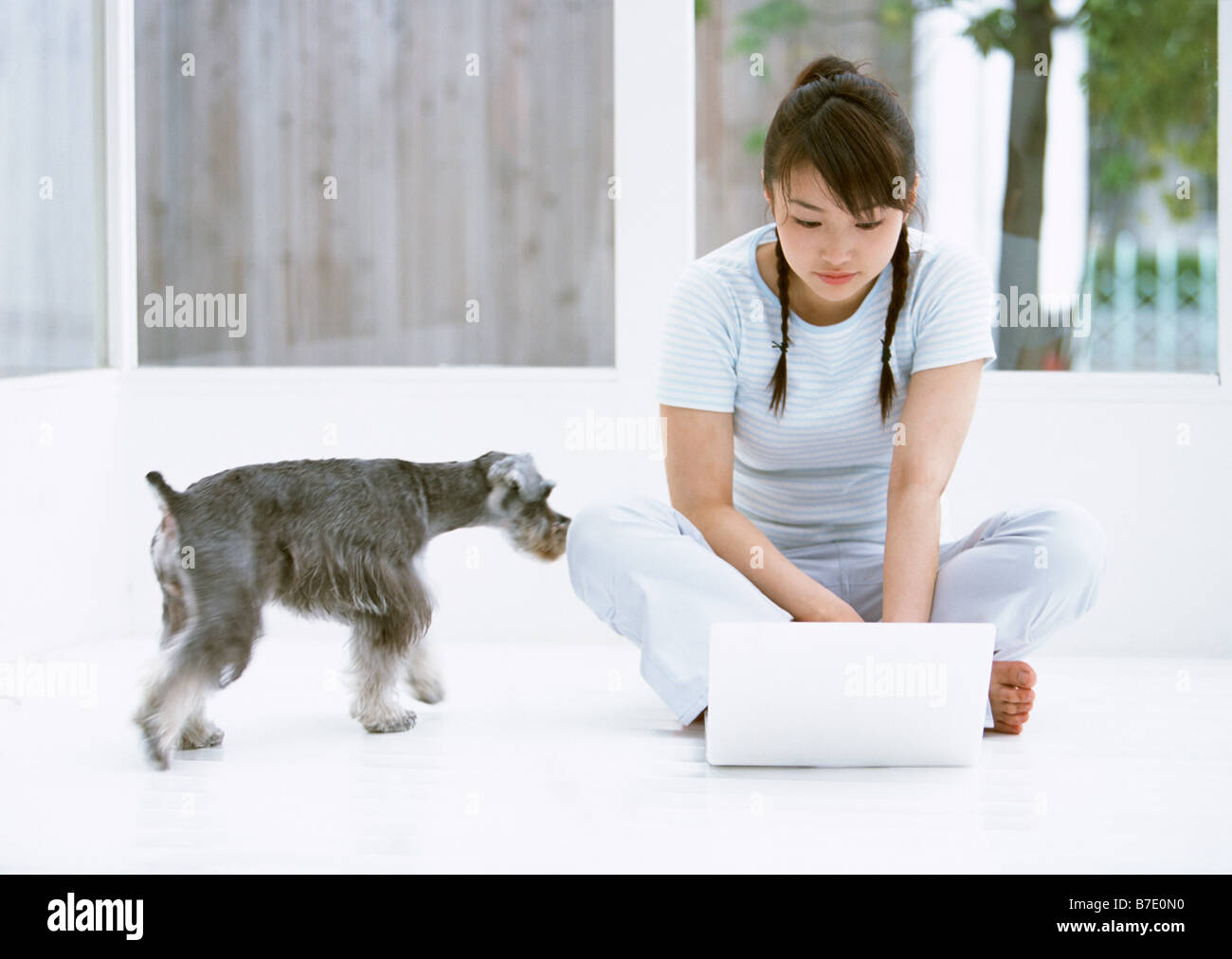 Woman sitting with miniature schnauzer dog hi-res stock photography and ...