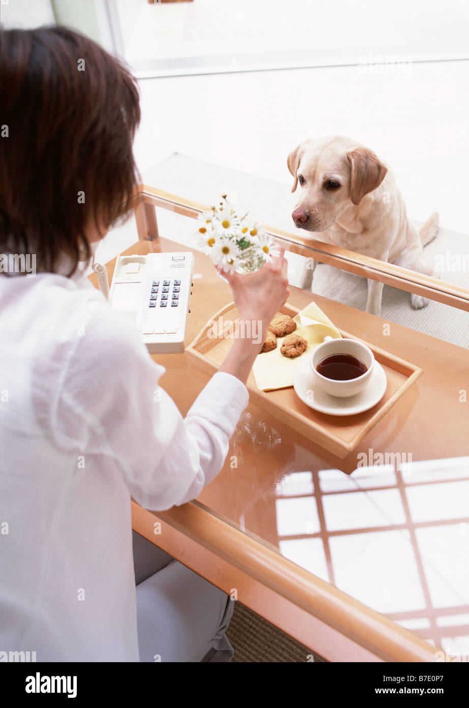 Western labrador tea hi-res stock photography and images - Alamy