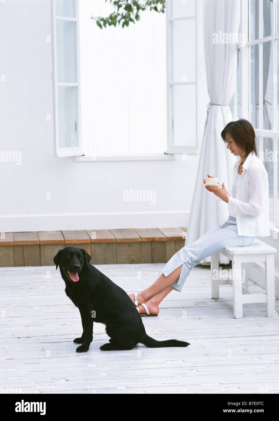 Double dog tea room hi-res stock photography and images - Alamy