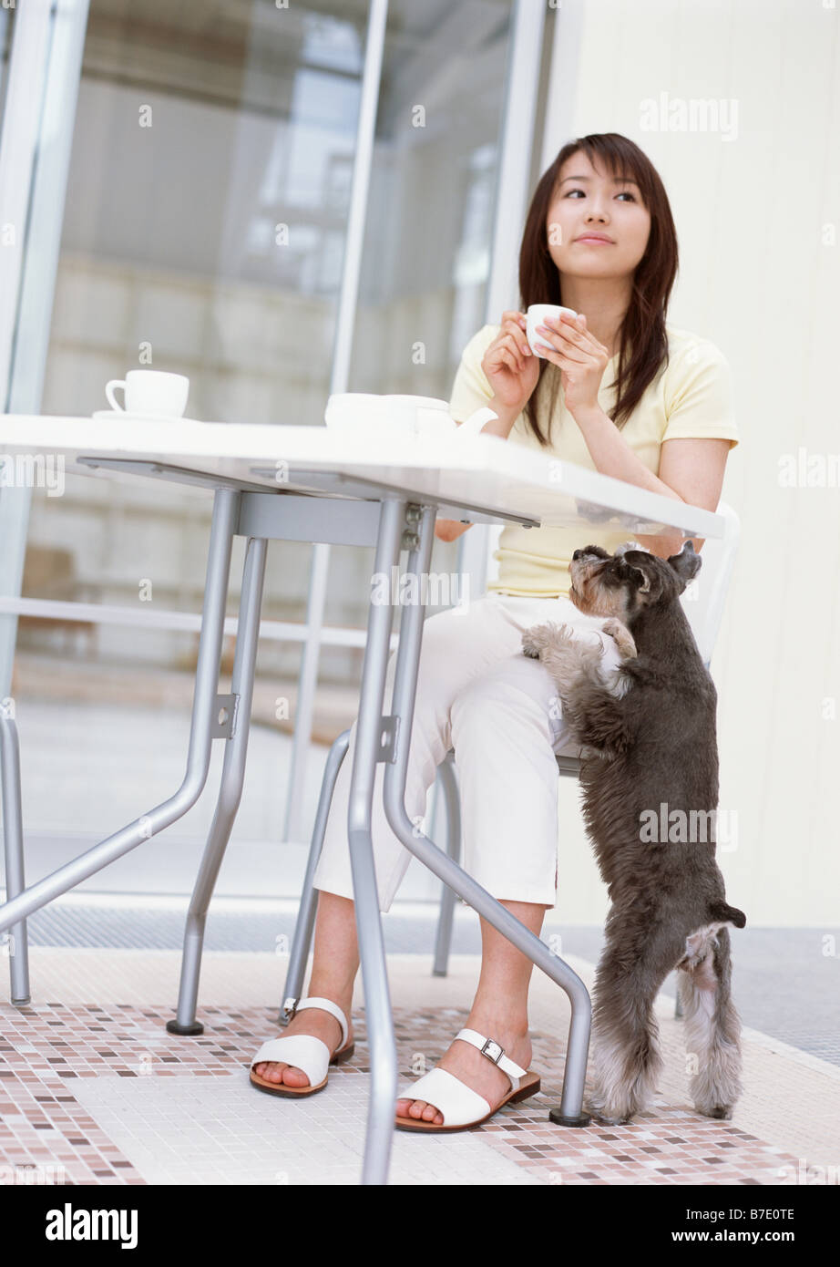 Tea break with dog Stock Photo - Alamy