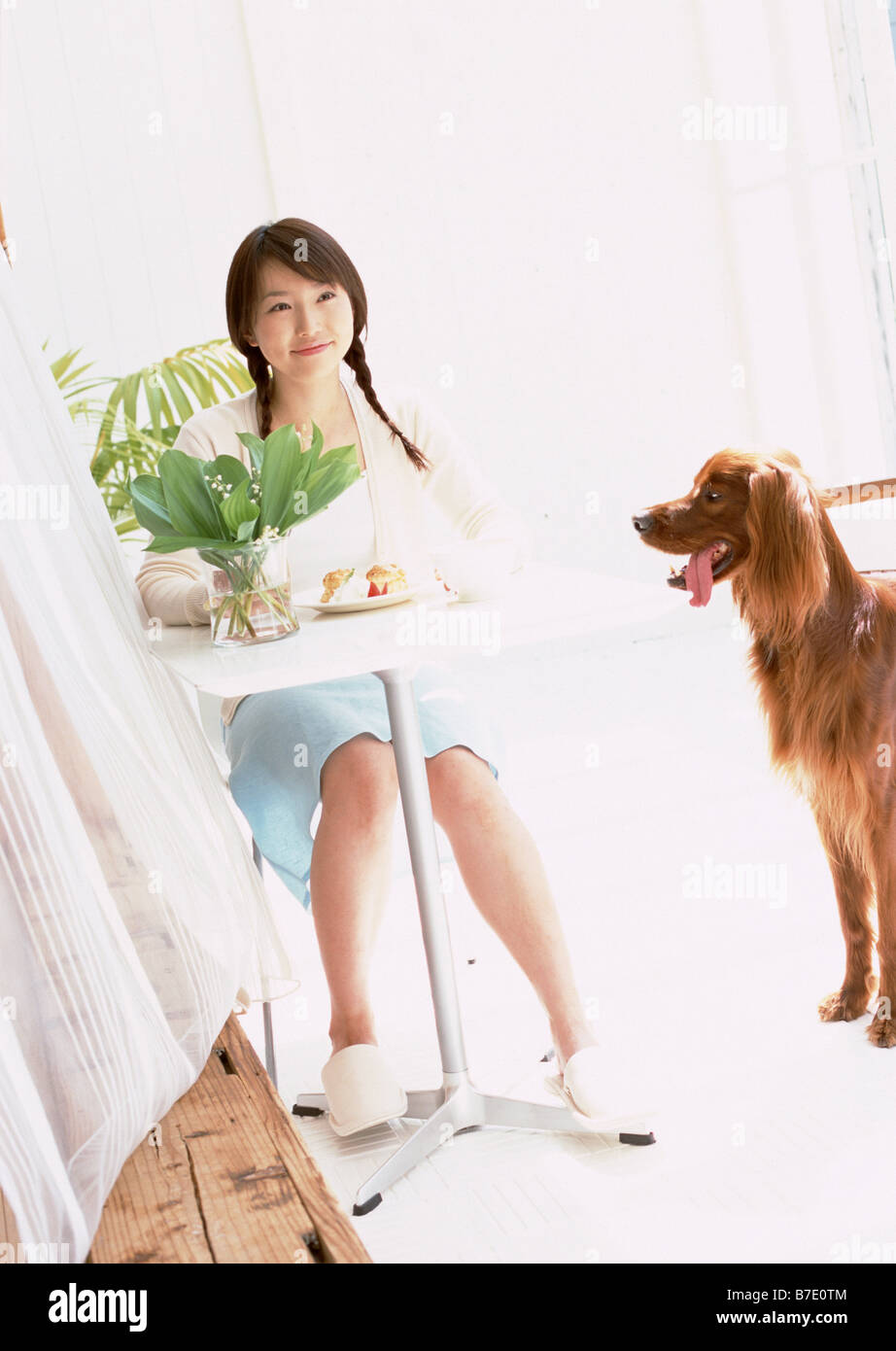 Tea break with dog Stock Photo - Alamy