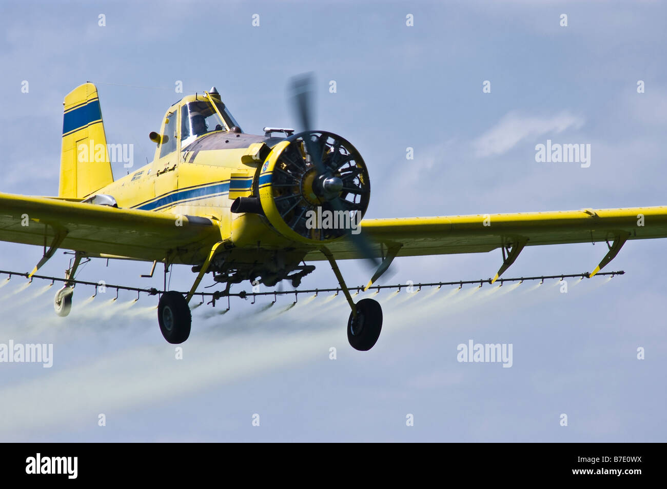 A small crop duster airplane applying chemicals in a spray to a crop in ...