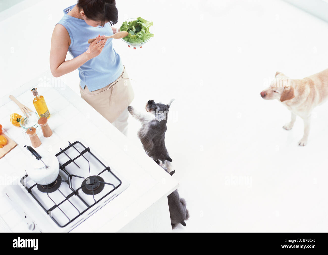 Cooking in kitchen with dog Stock Photo - Alamy